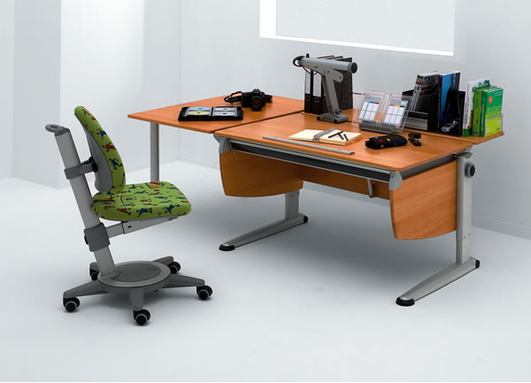 Moll Schreibtisch Nature. (Bildseite)